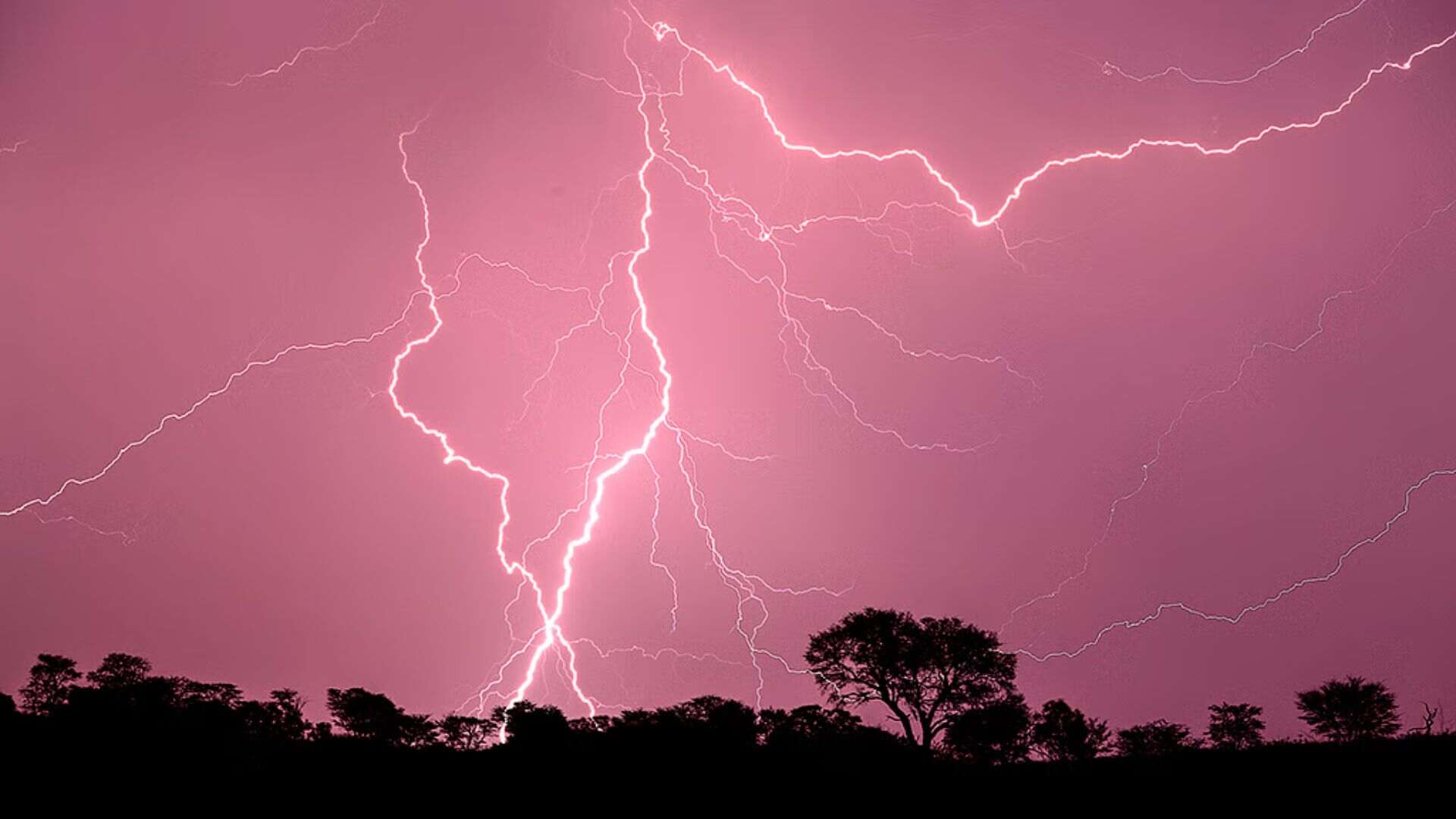 Fact Check: Only four lightning strike deaths reported in the U.S. this ...