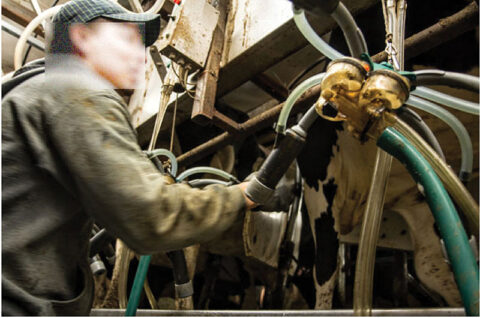 Fact Check: Fear of deportation has left farms in the Rio Grande Valley ...