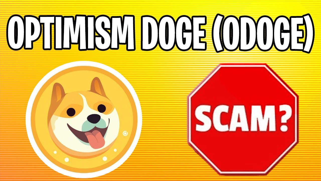Fact Check: DOGE has found millions of dollars in fraud | TruthOrFake Blog