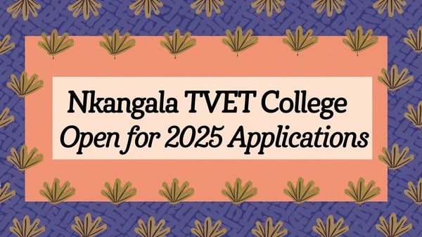 Fact Check: Is NKangala open for 2025 applications? | TruthOrFake Blog