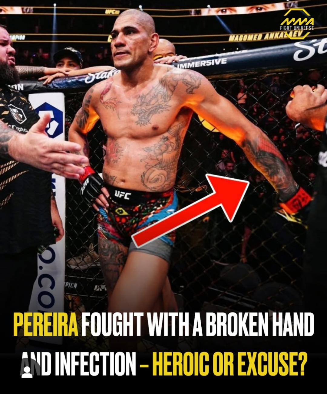 Fact Check: Is UFC MMA? | TruthOrFake Blog