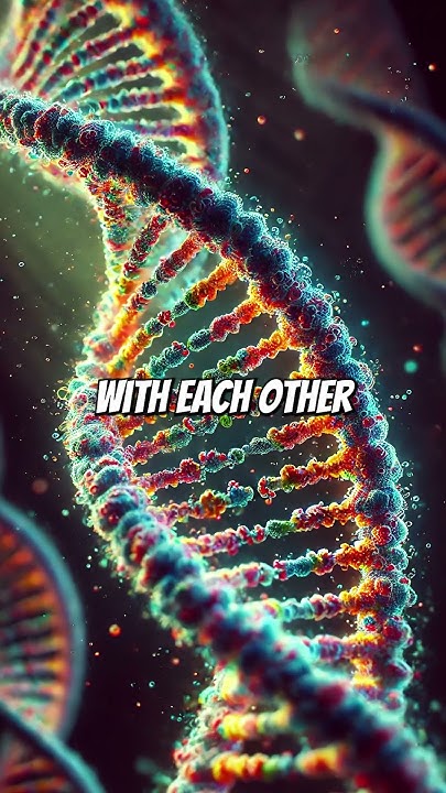 Fact Check: Humans share about 99.9% of their DNA with other humans ...