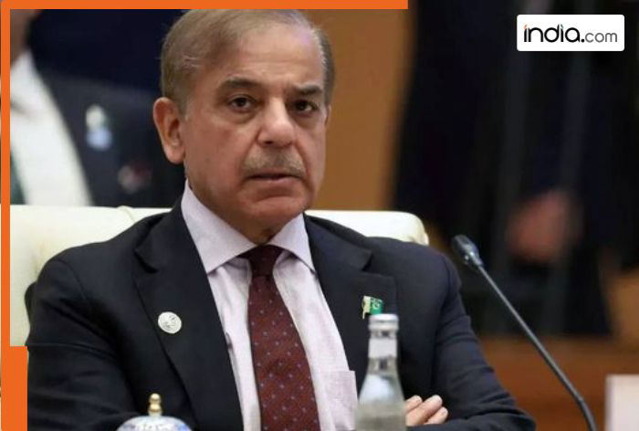 Fact Check: Jaish-e-Mohammad is a banned terrorist organization in ...