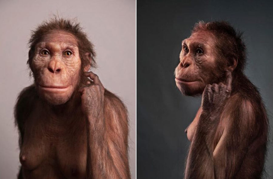 Fact Check: There is a missing link between humans and apes that's ...
