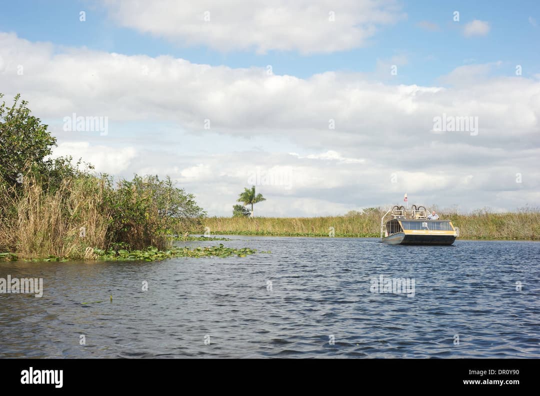 Fact Check: The Florida Everglades is a unique ecosystem recognized as ...