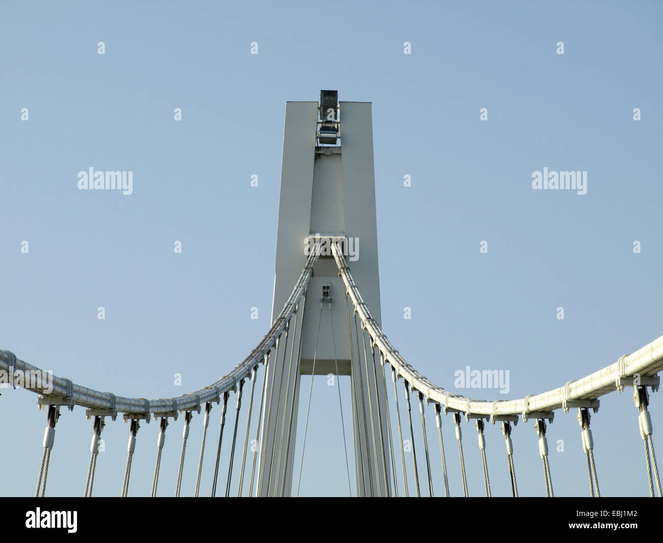 Fact Check: Suspension bridges use cables to support the bridge deck ...