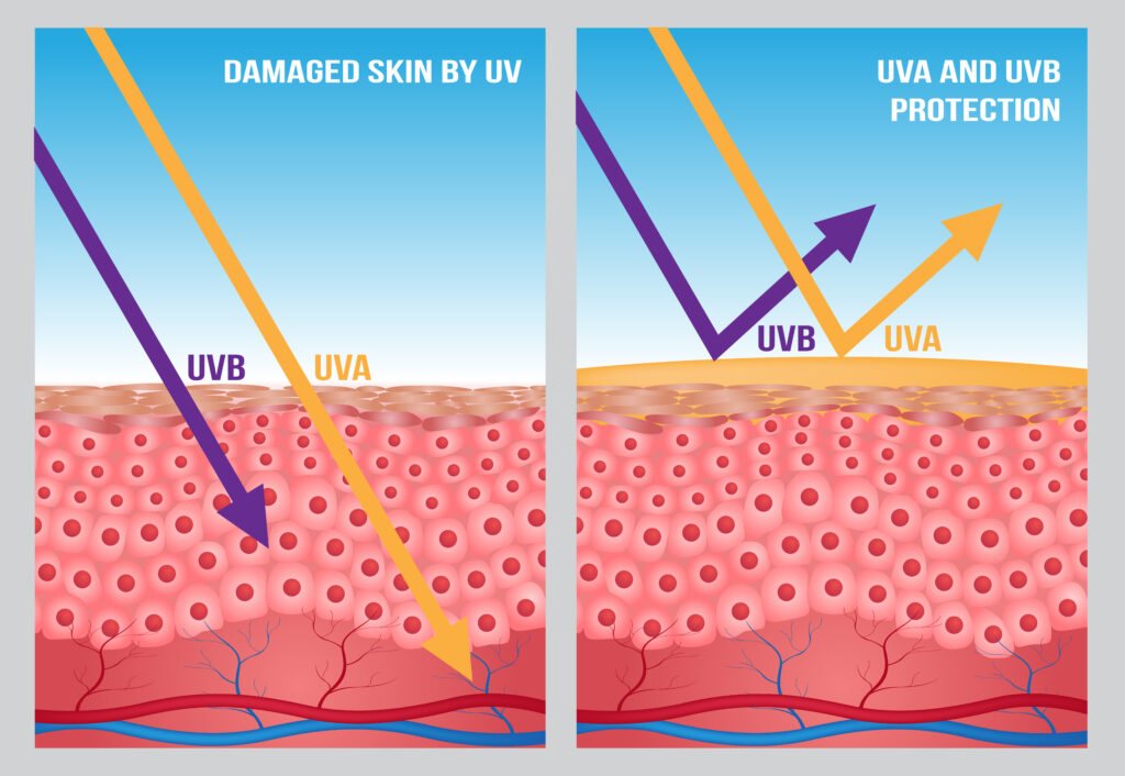 Fact Check: Is uv light bad for you? | TruthOrFake Blog