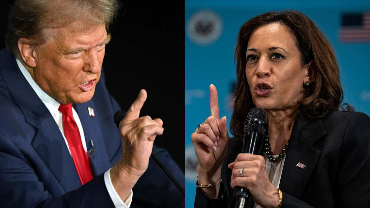 Fact Check: trump over turns 2020 election by appointing conspiracy theorist. | TruthOrFake Blog