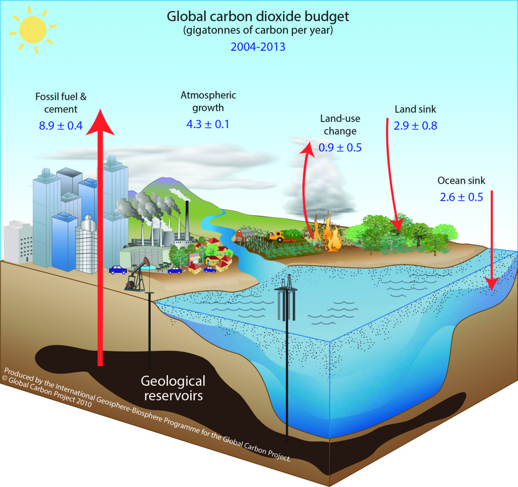 Fact Check: Liquid water and water vapor cause chemical weathering ...